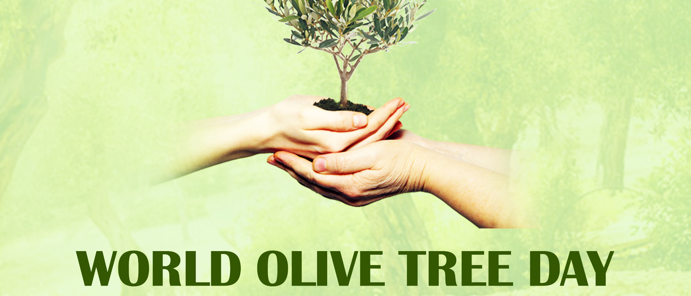 Secondary Assembly - World olive tree day - Braeburn Mombasa ...
